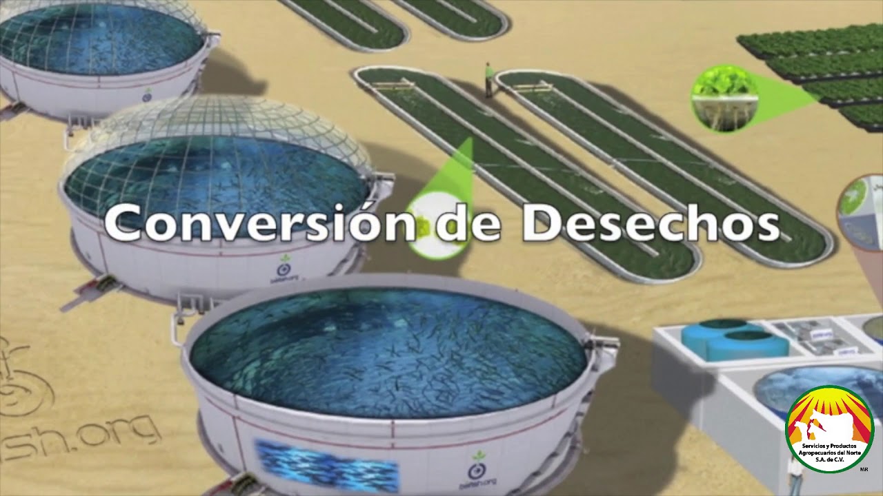 Acuoponía Bofish - YouTube