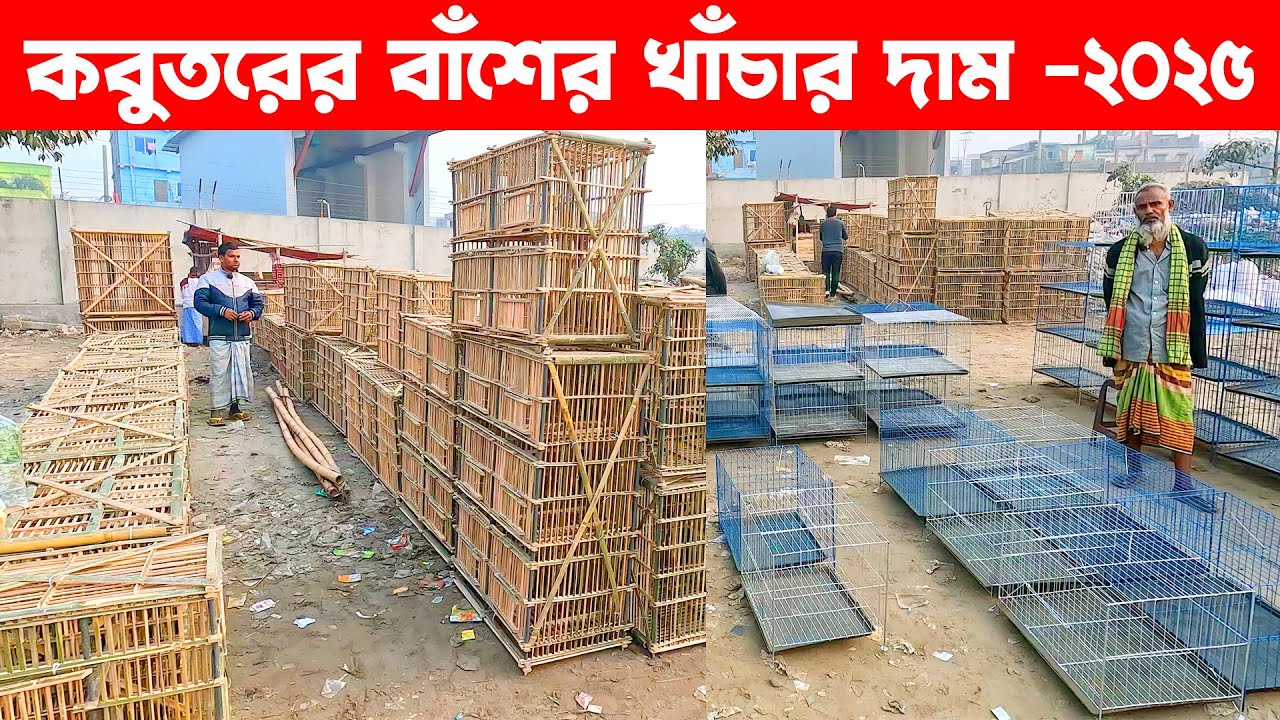 কবুতরের বাঁশের খাঁচার দাম ২০২৫ || Pakhir Khachar Dam || Bird Cage ...