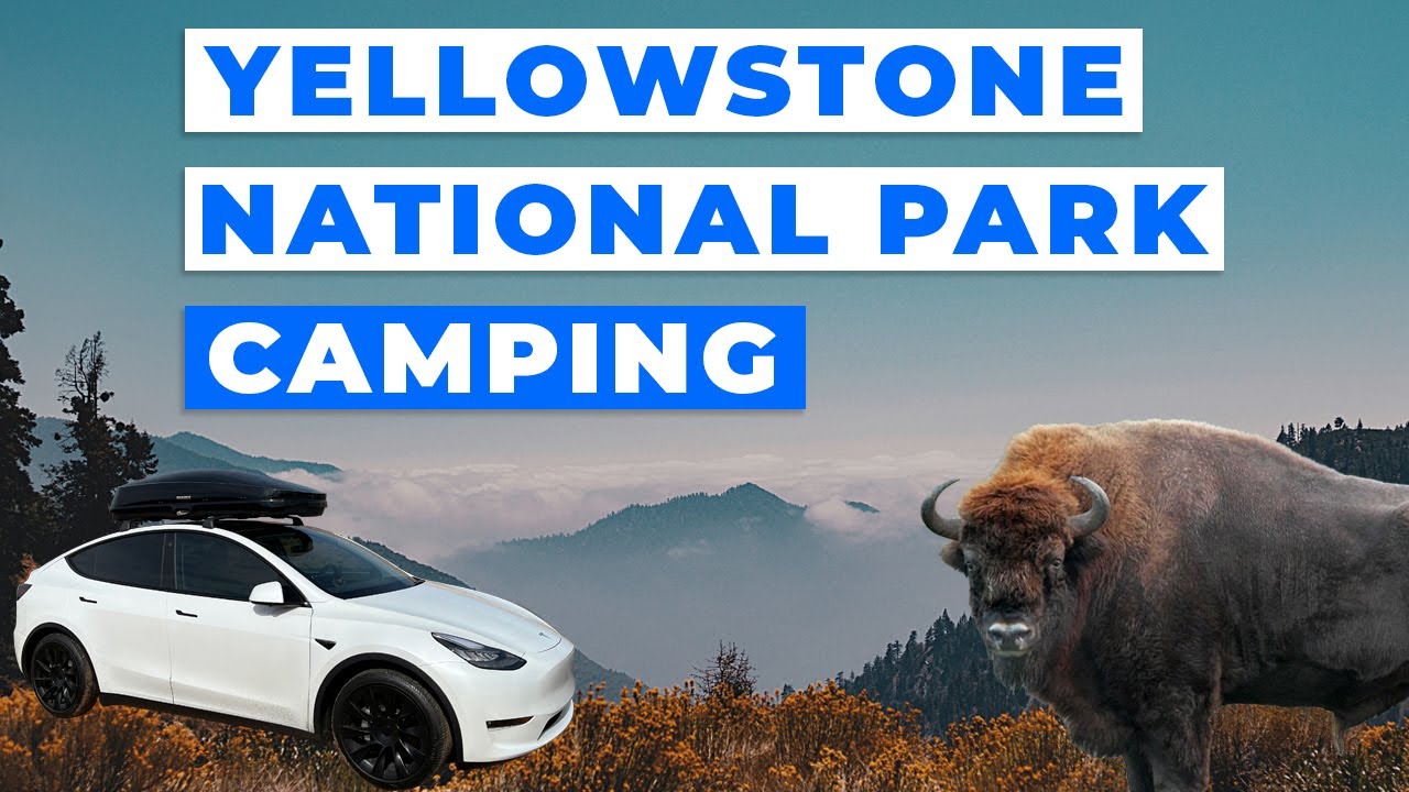 Camping in Yellowstone National Park in 2021 Tesla Model Y | S1:E15 ...