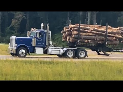 Peterbilt 389 Day Cab Logging Truck and Freightliner Columbia Logging ...