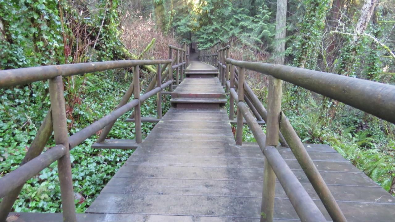Priest Point Park Olympia, WA - January 13th, 2019 - YouTube