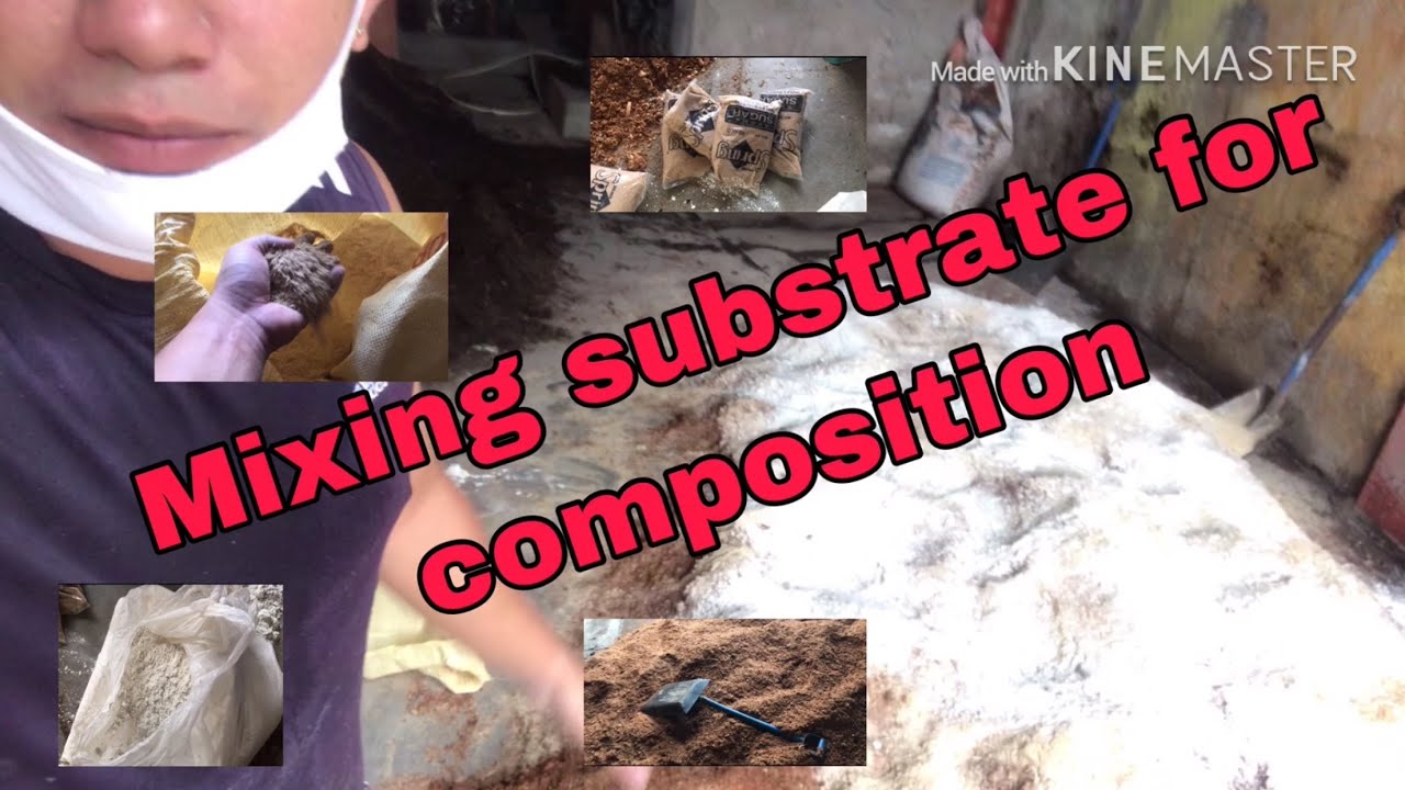 Mixing substrate for composition saw dust base (7,14,21 days) - YouTube
