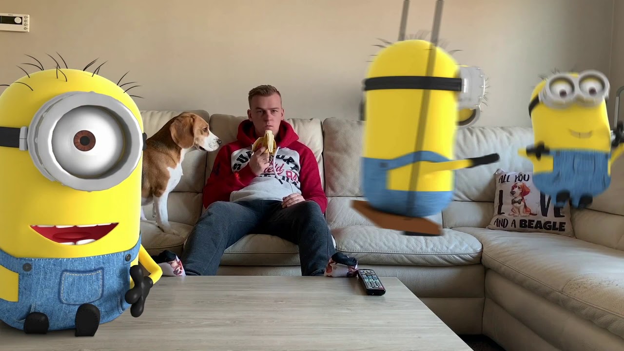 Living With Real Minions Is Bananas ! - YouTube