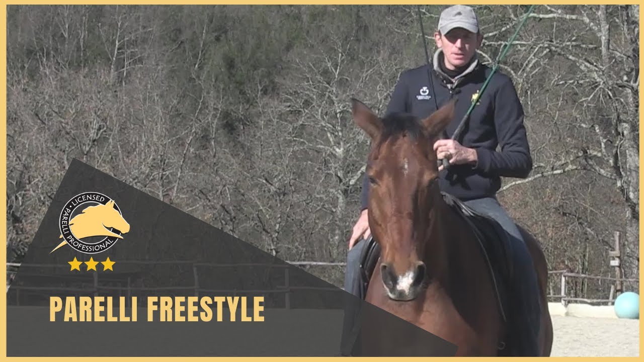 Freestyle Parelli: che cos'è e a cosa serve - YouTube