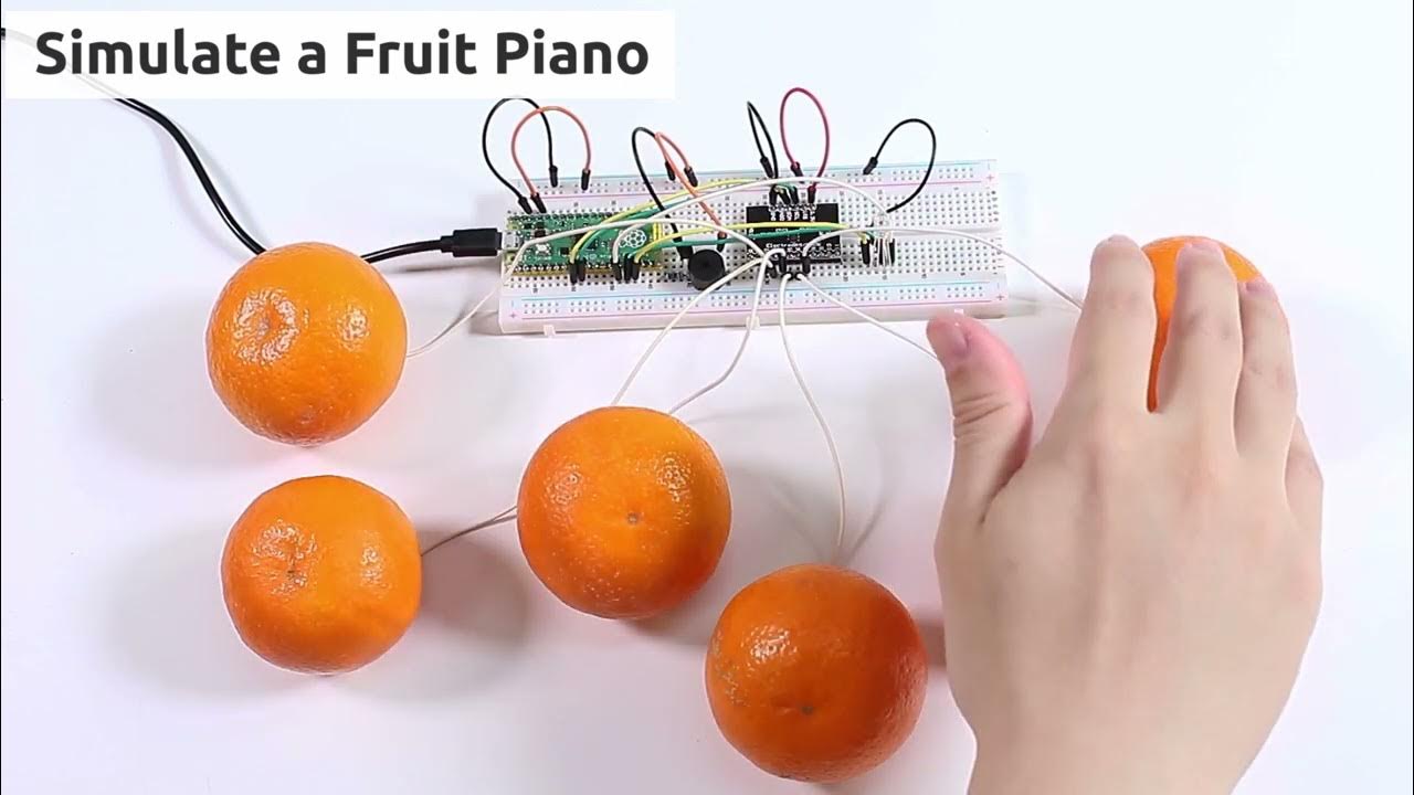 SunFounder Raspberry Pi Pico Ultimate Starter Kit (Euler Kit) - YouTube