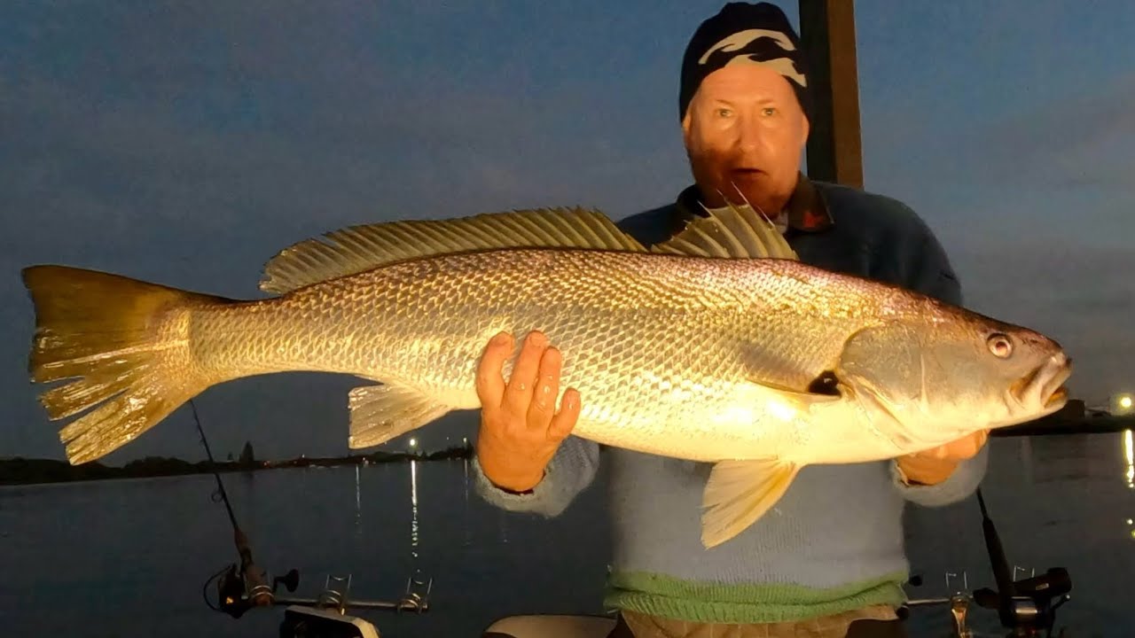 Winter Jew fishing the Hunter River, Newcastle - YouTube