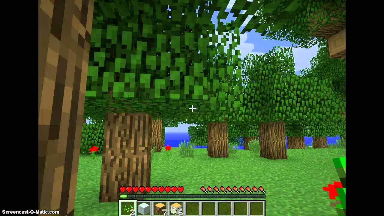 Minecraft- 1- IN A WORLD WITHOUT TREES - YouTube