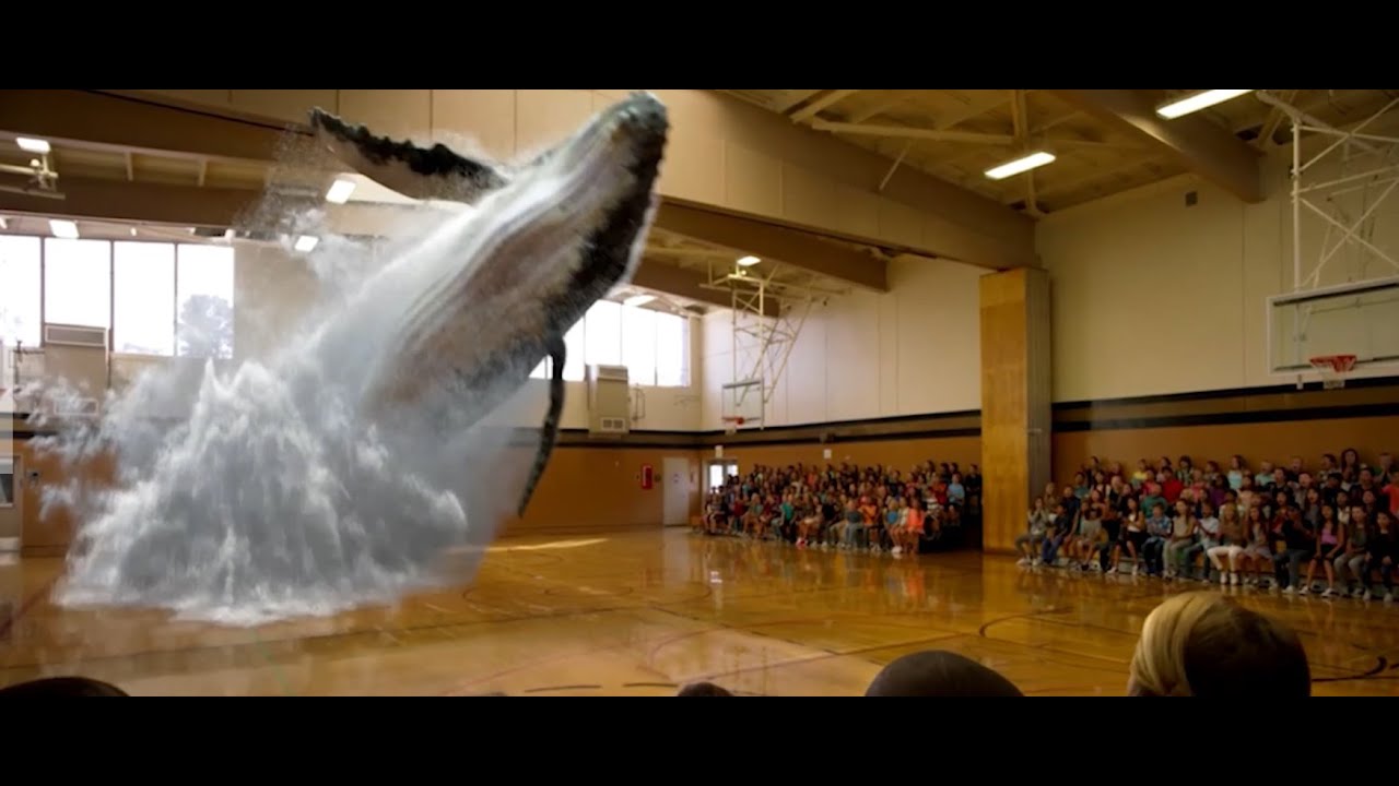 Examples of Holograms - YouTube