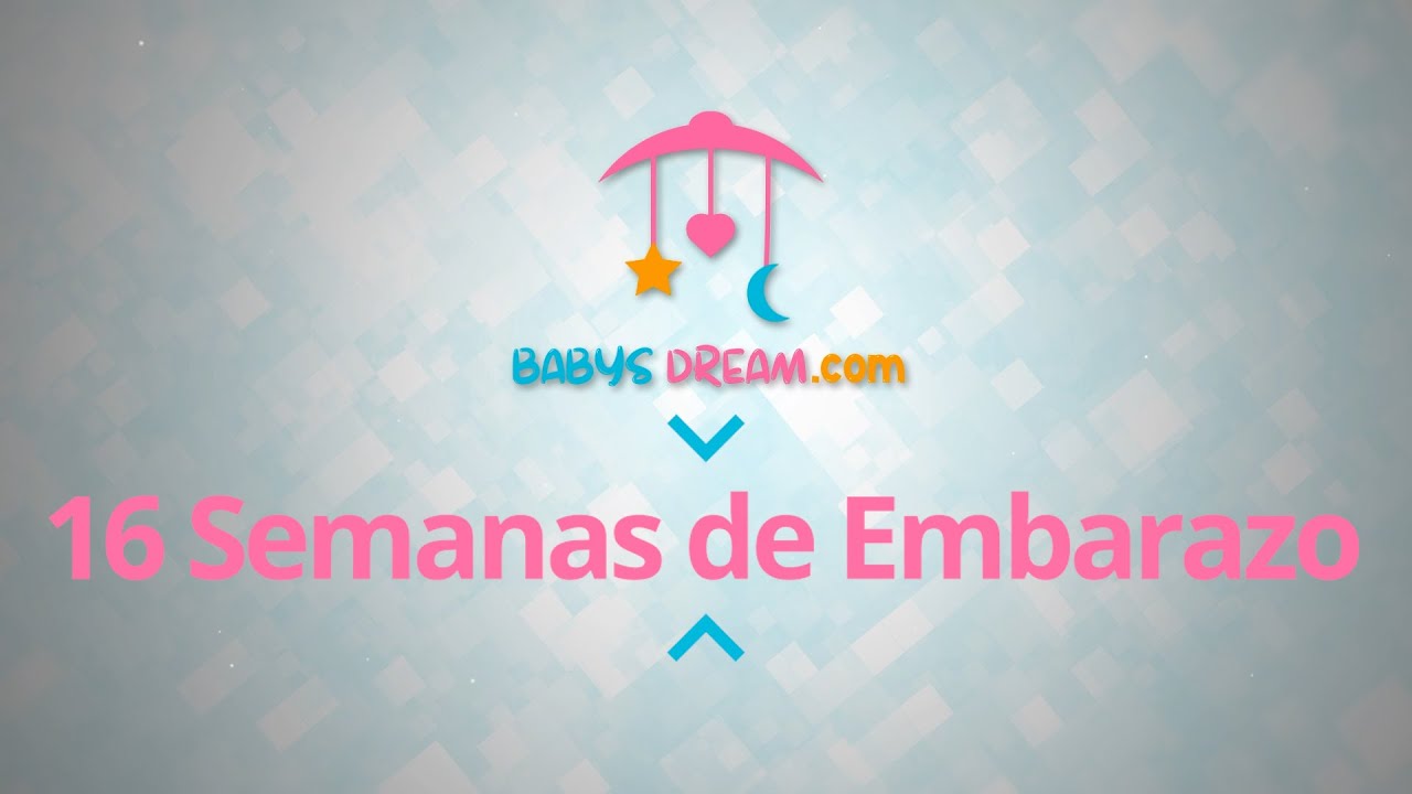 Bebé - 16 Semanas de Embarazo | Signos y síntomas del embarazo - YouTube