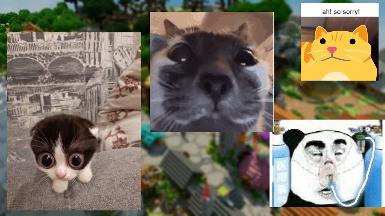 I forgot how to stream lol (Hypixel Skyblock) - YouTube