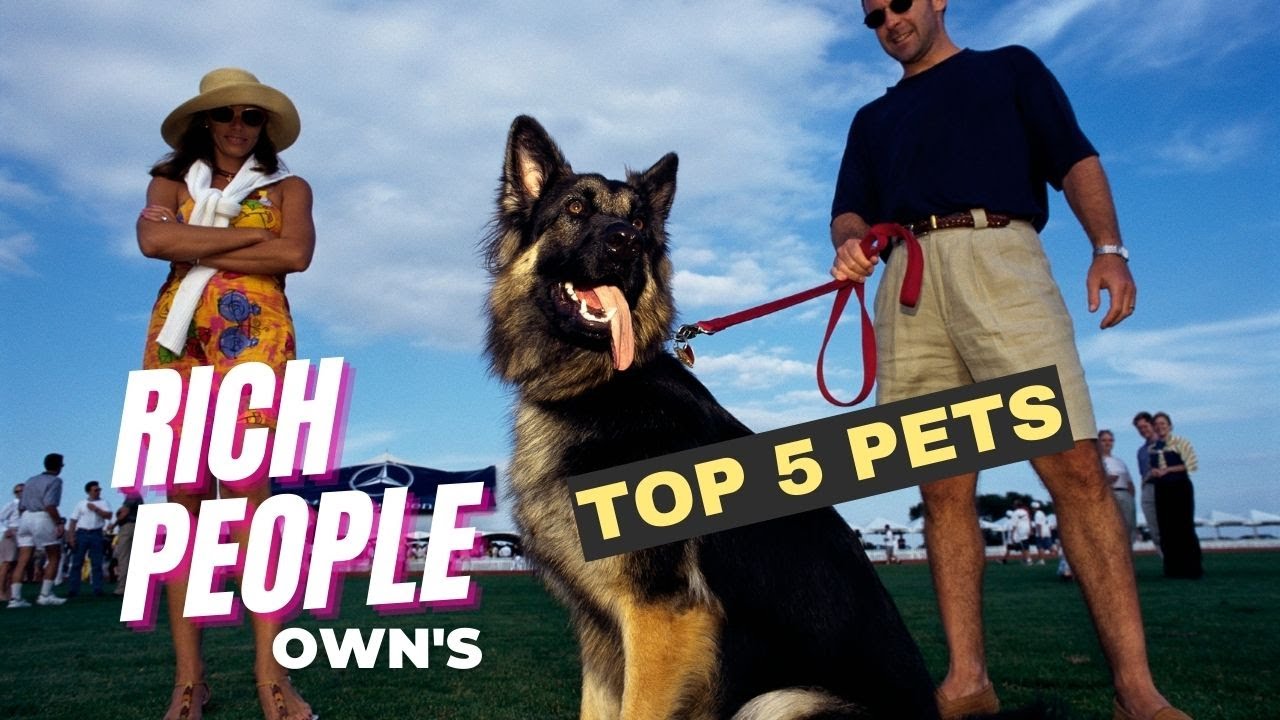 Top 5 Pets Rich People Own that you can never think of - YouTube