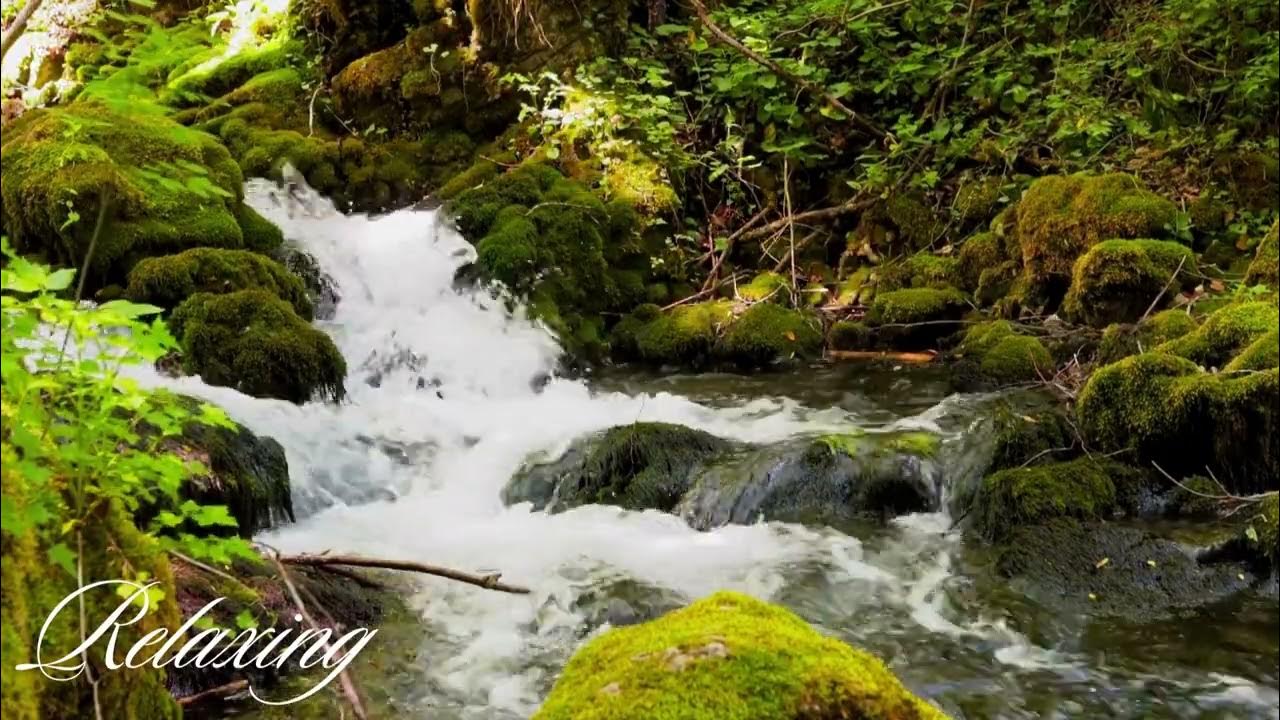 Amazing Relaxing Waterfall Sound for Sleep, Meditation & Spa - YouTube