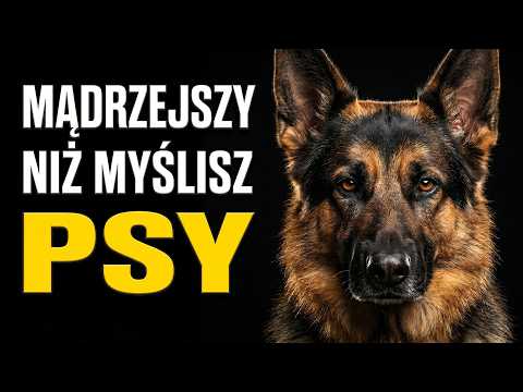 Psy: lojalność czy zręczna manipulacja? Cała prawda!