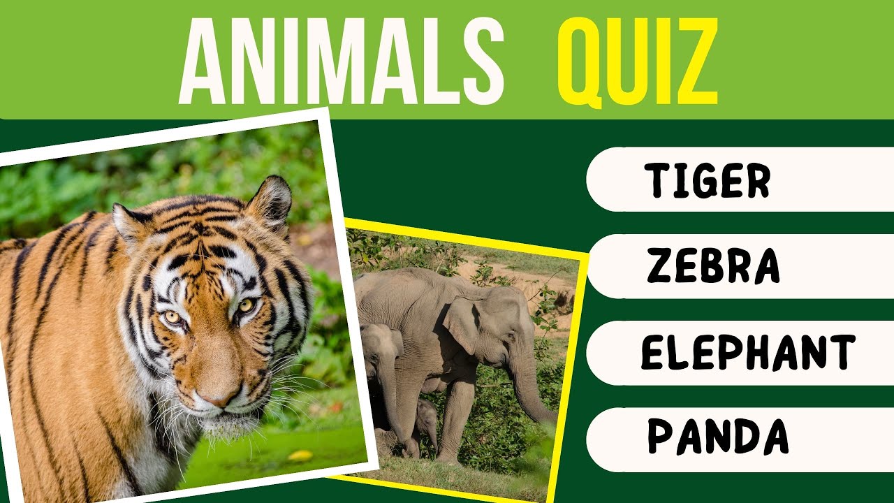 How Good Is Your Knowledge of ANIMALS? | Animal Trivia 🦁🐧🐼🐘 Quiz Game ...