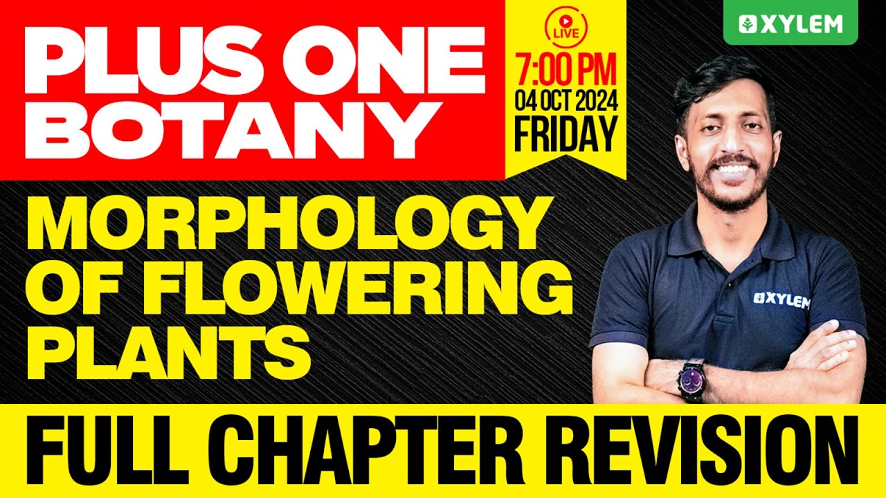 Plus One Botany | Morphology of Flowering Plants | Full Chapter ...