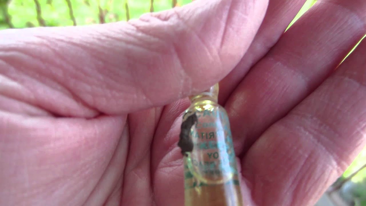 Stink bomb, found in my back yard. Ammonium Sulfide ampule - YouTube