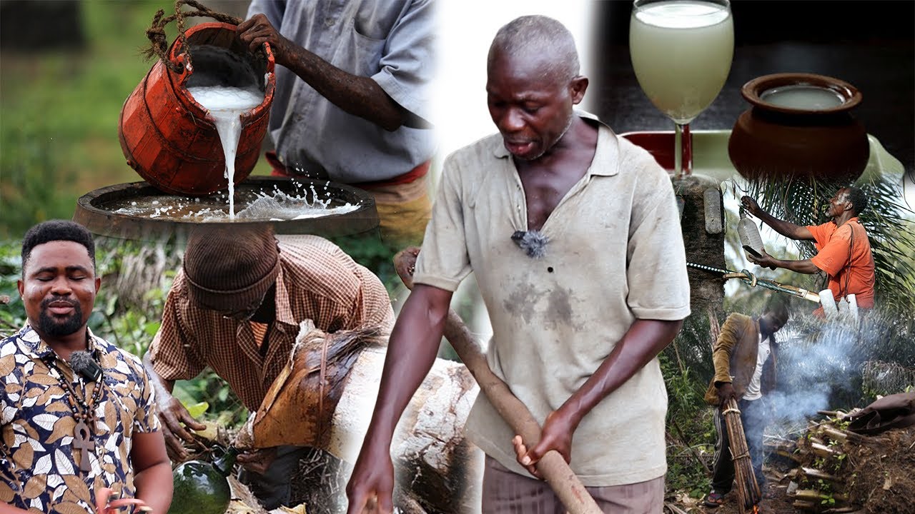 Juice of toddy palm | Palmyra palm juice natural alcohol | How Palm ...