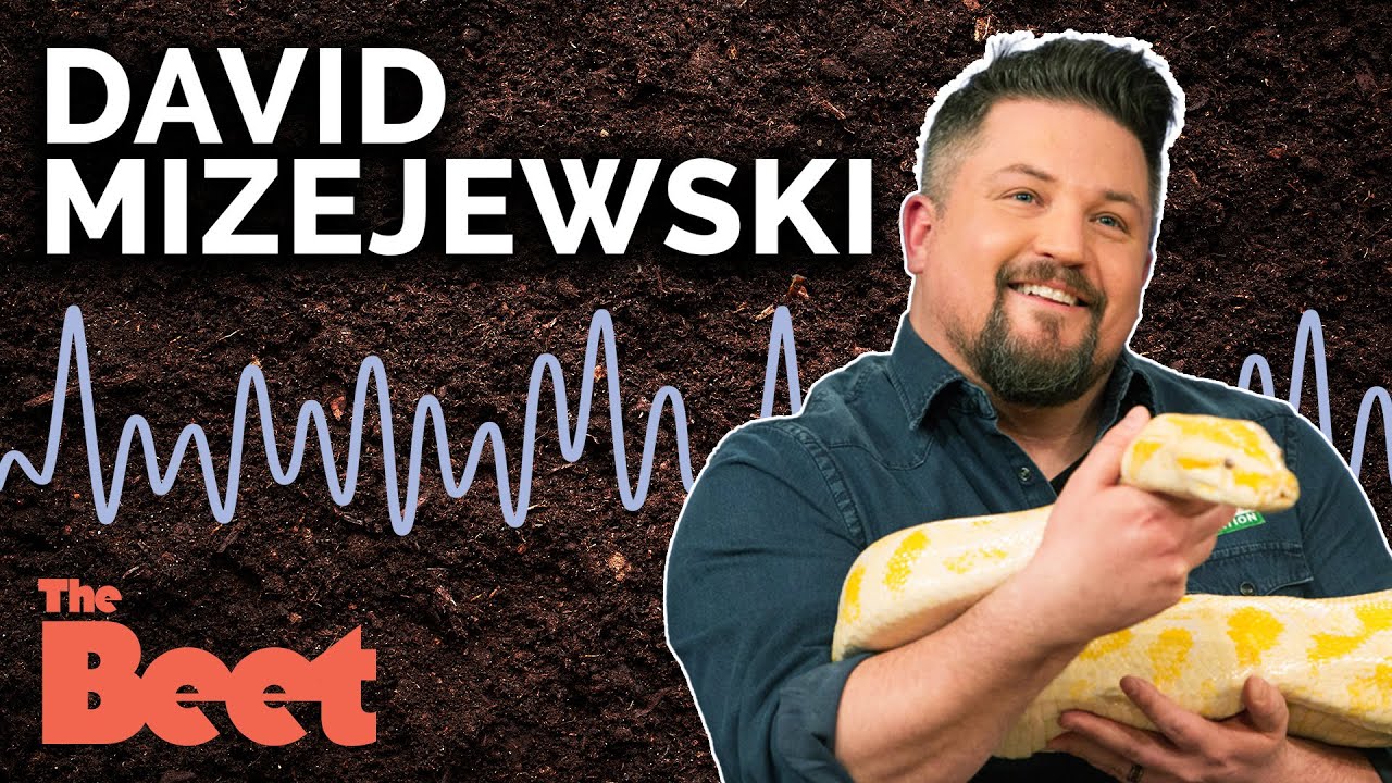 Becoming a Naturalist & Native Plants with David Mizejewski | The Beet ...