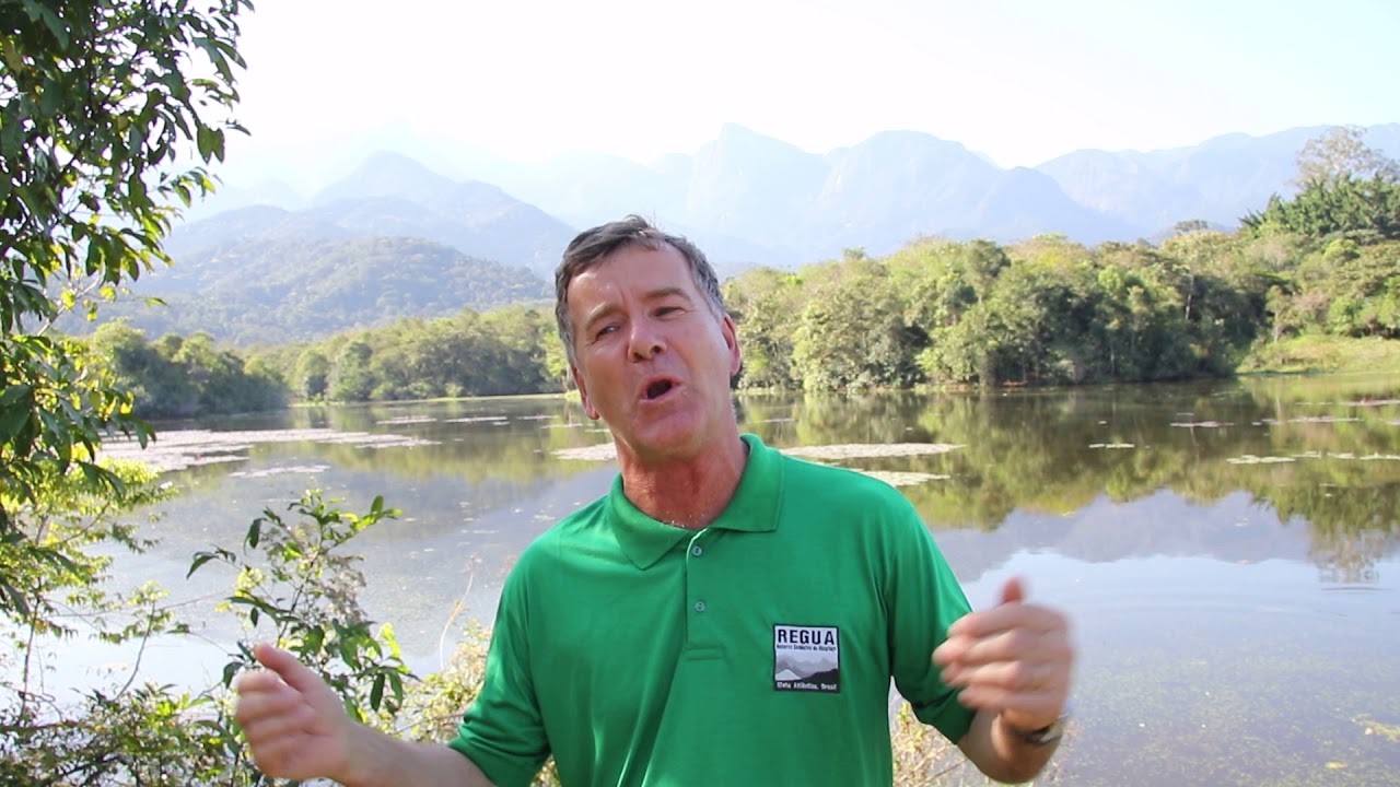 Nicholas Locke Presidente da REGUA - YouTube