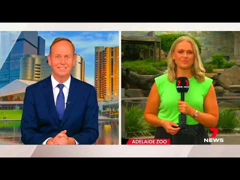 7News Adelaide (Summer Edition) - Weather and Closer, Friday January ...