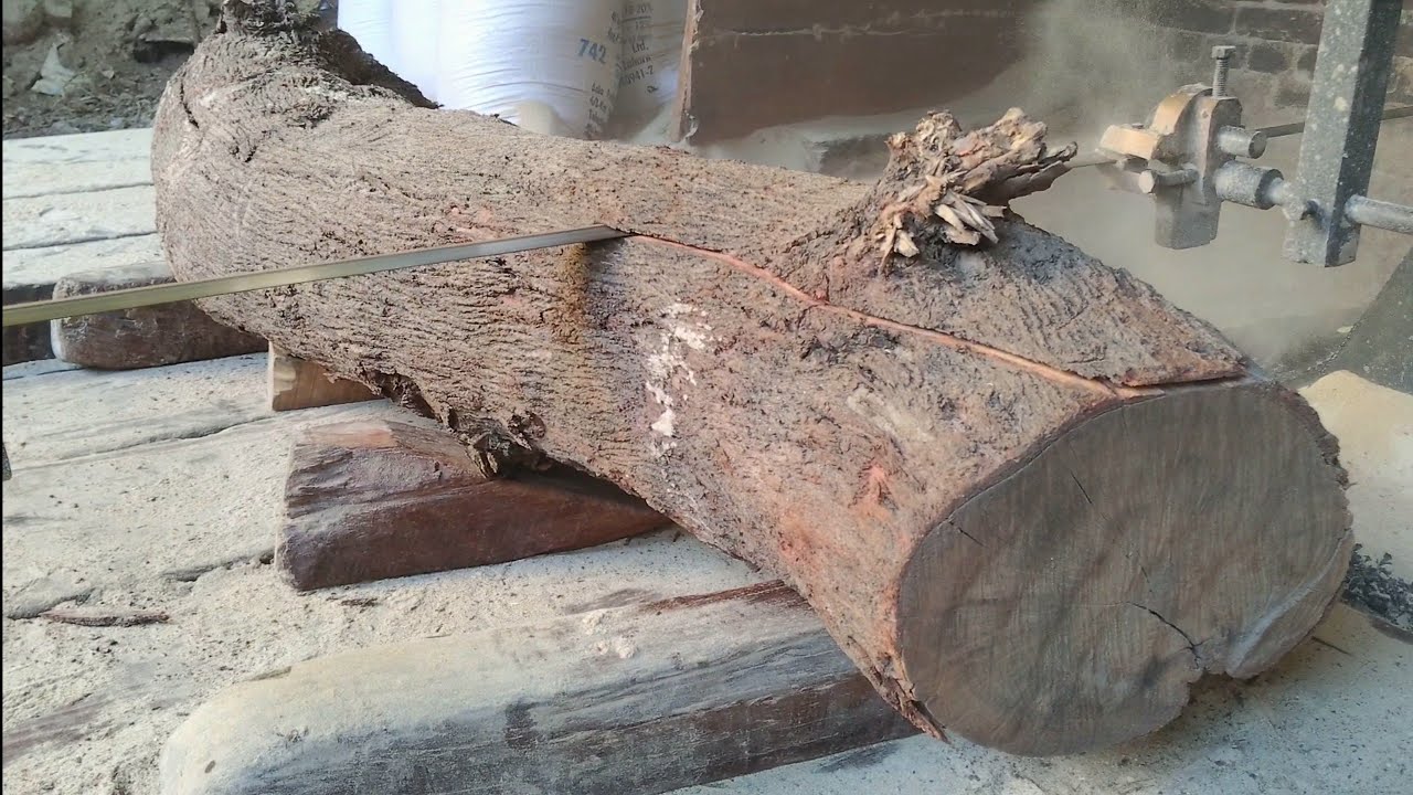 Use of Sawmill Trolly Wheel Wood Cutting machine | Log Cutting ...