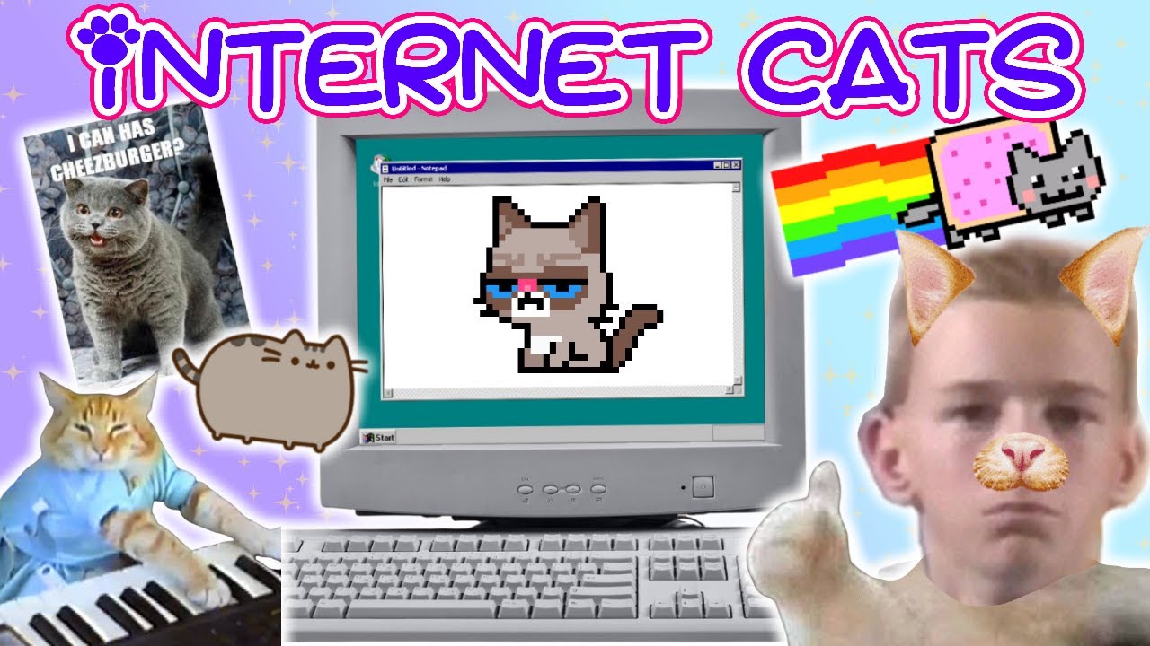 A Deep Dive into Internet Cats - YouTube