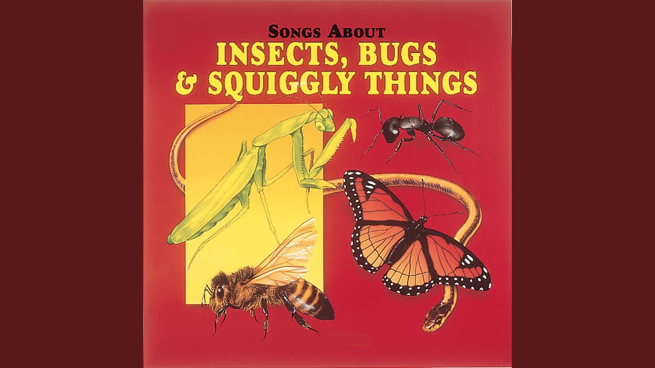 The Bee Bop - YouTube