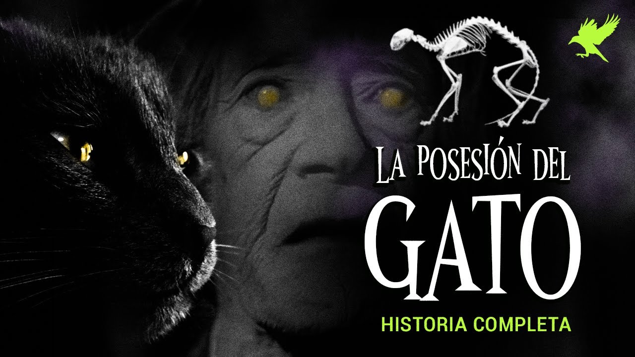 LA POSESIÓN DEL GATO (HISTORIA COMPLETA) | Historias de terror | Gritos ...