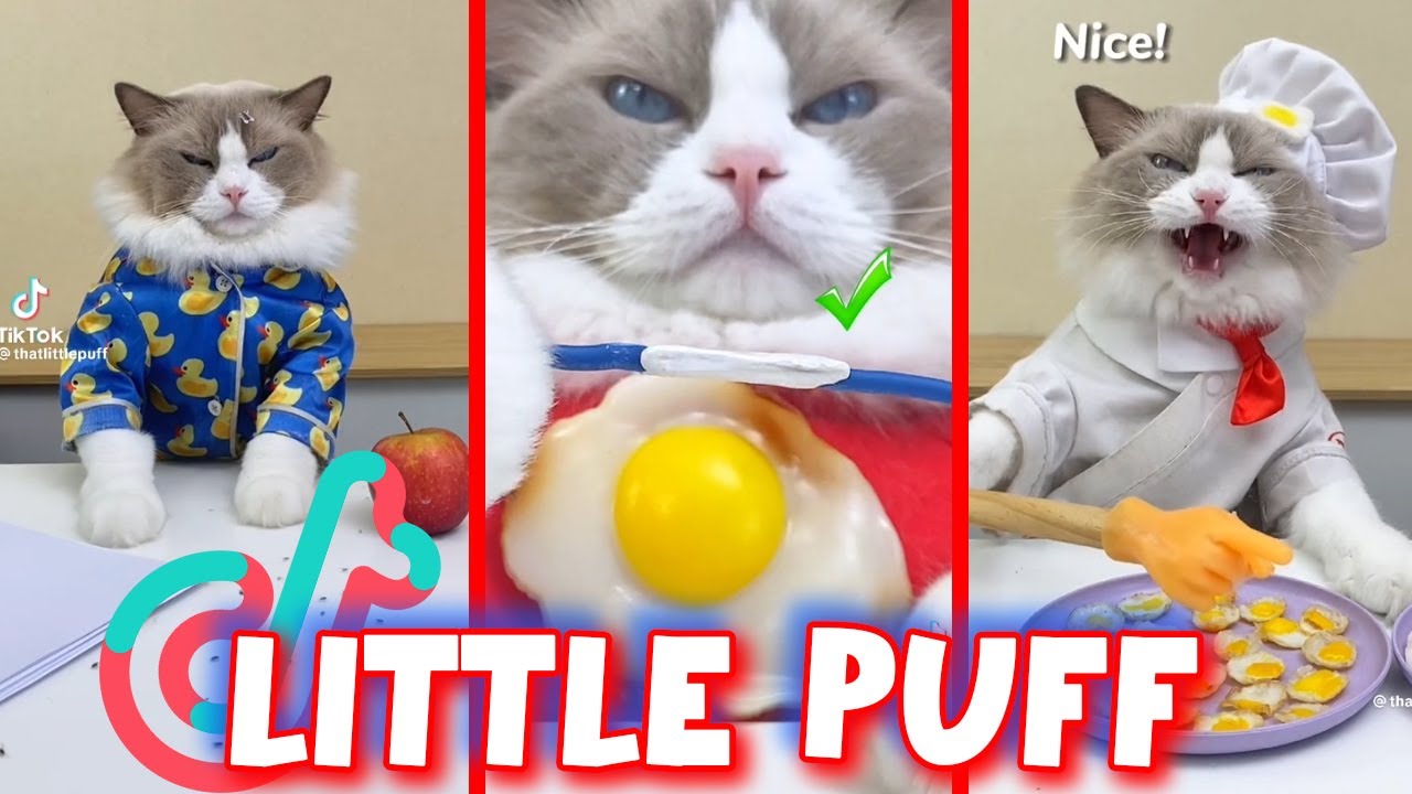 That Little Puff | COMEDY SHORTS | August 2023 - YouTube