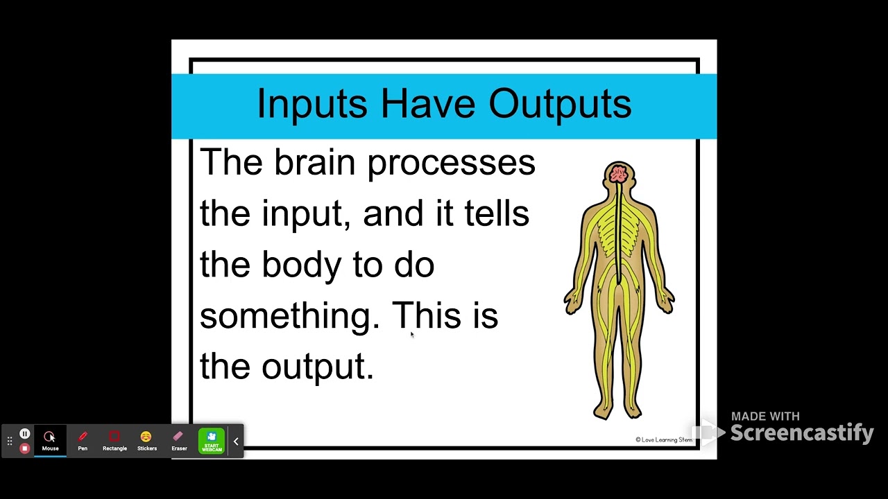 Bonus Lesson : Human and Animal Senses - Google Slides 4th Grade NGSS ...