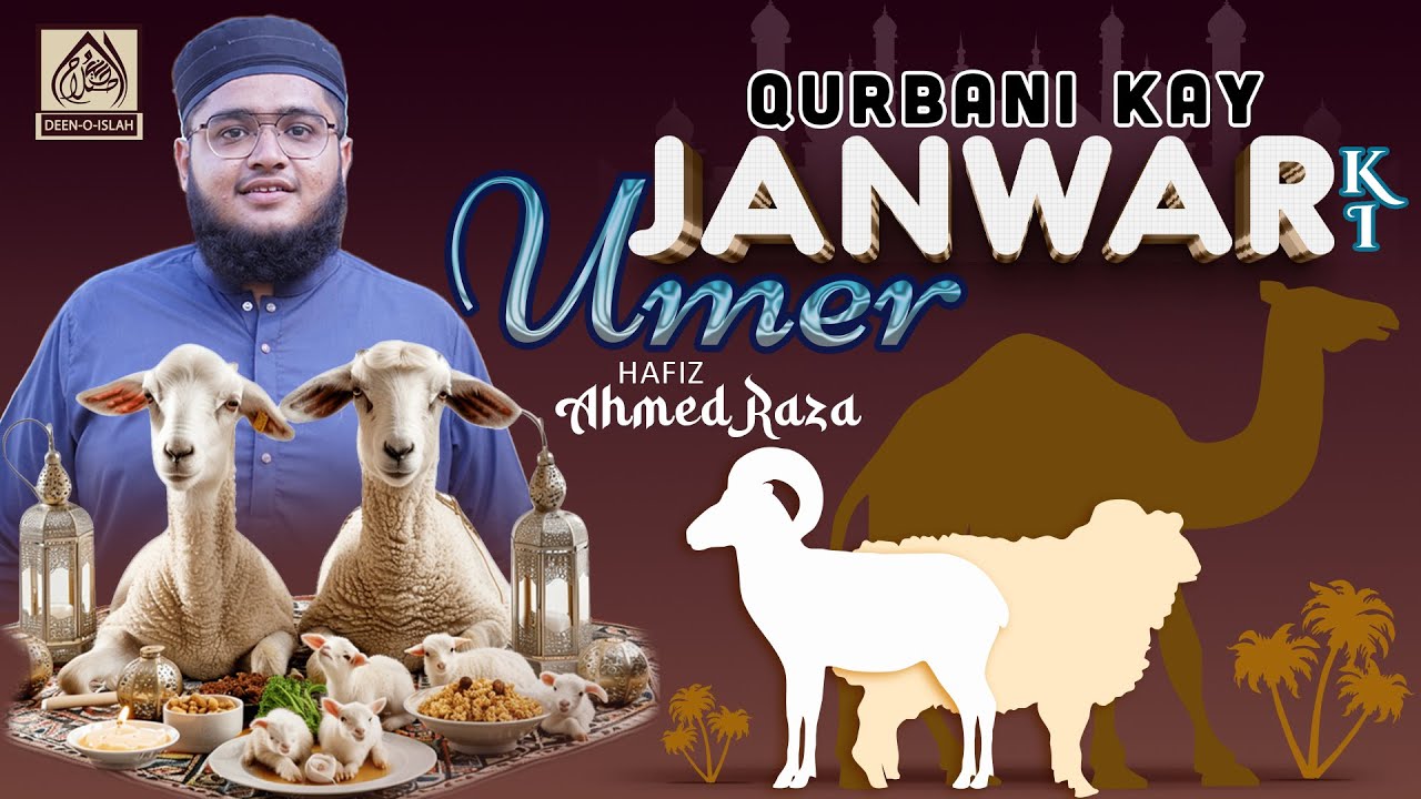 Hafiz Ahmed Raza | Eid-ul-Adha Special | Janwar Ki Umer | Deen-o-Islah ...