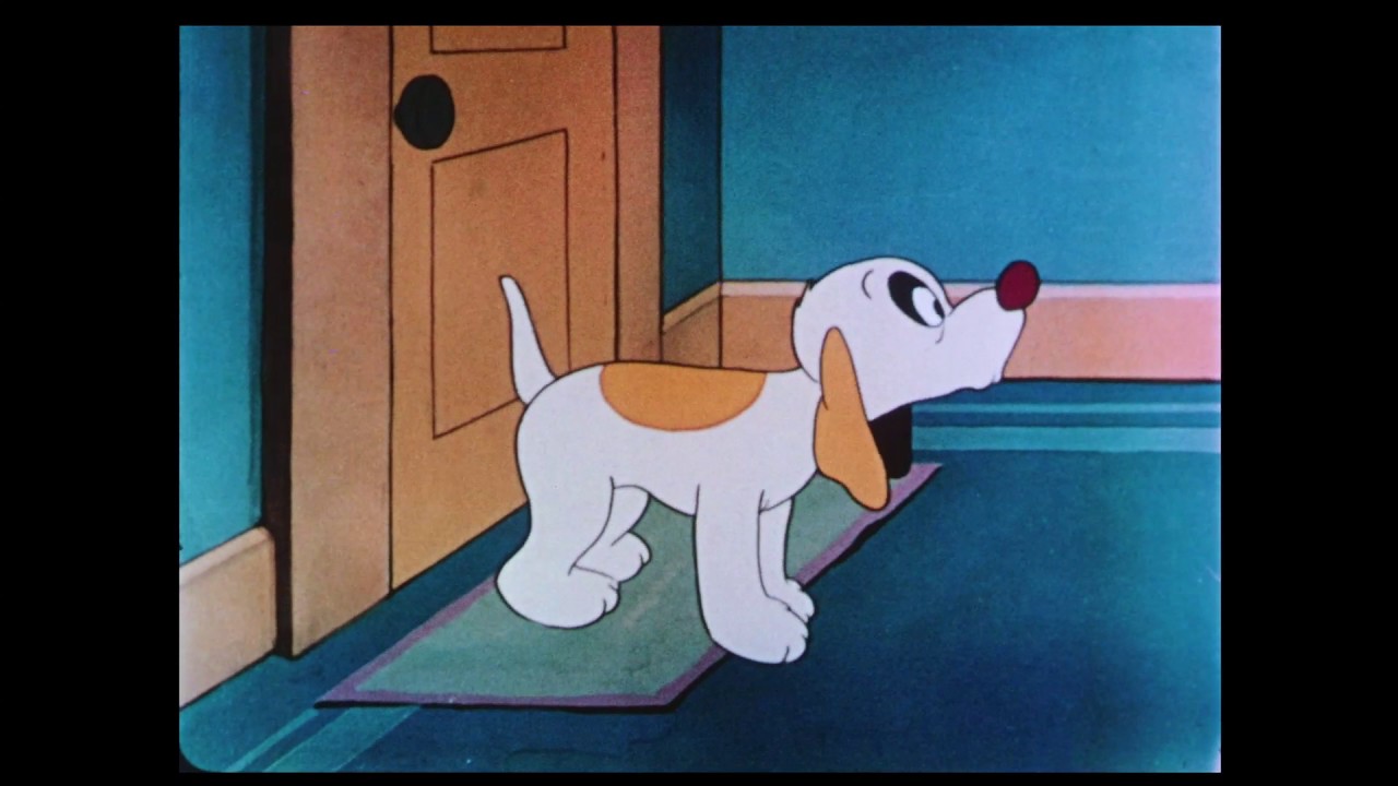 Hector's Hectic Life - YouTube