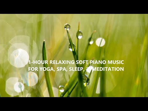 1-Hour Relaxing Soft Piano Music for Yoga, Spa, Sleep, and Meditation ...