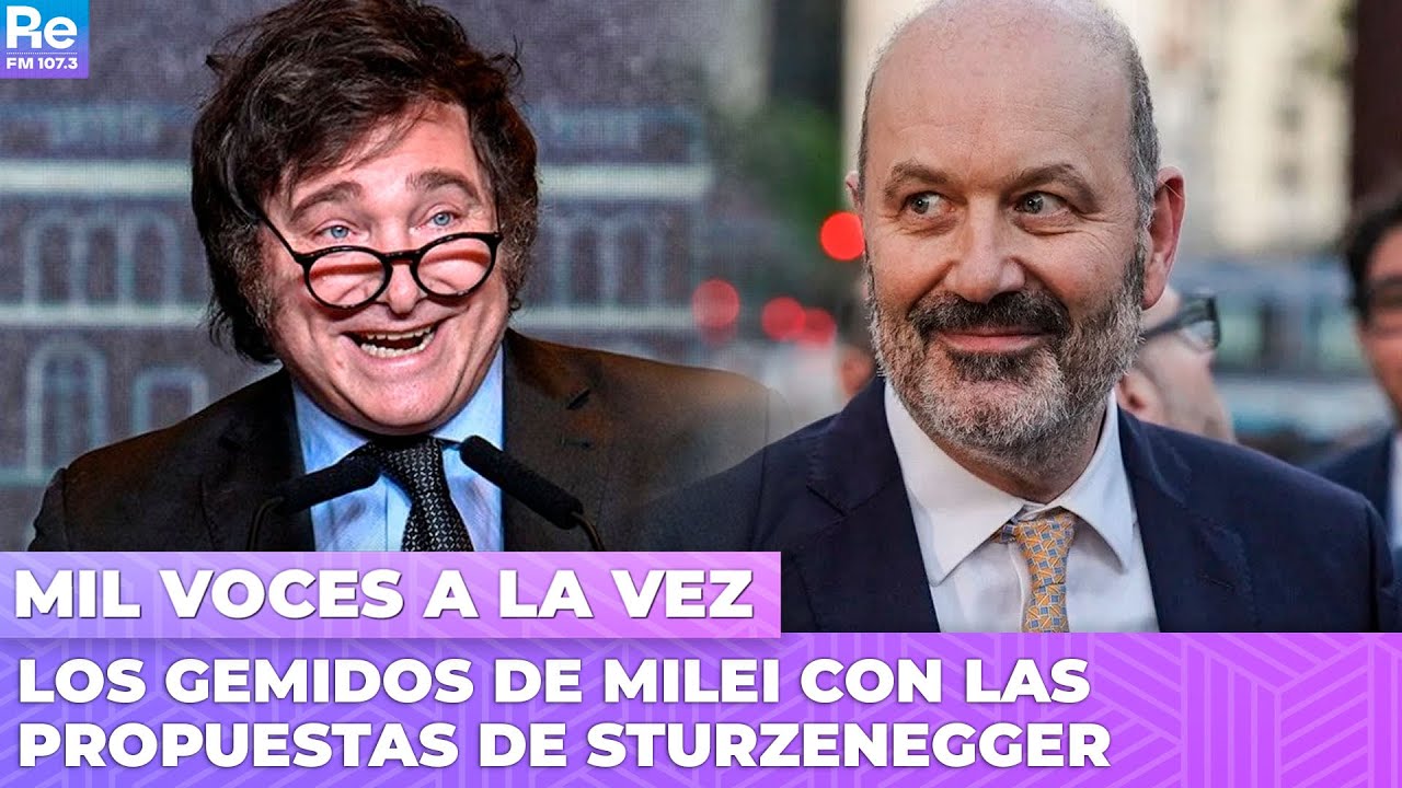 Los GEMIDOS DE MILEI con las PROPUESTAS de STURZENEGGER | MIL VOCES con ...
