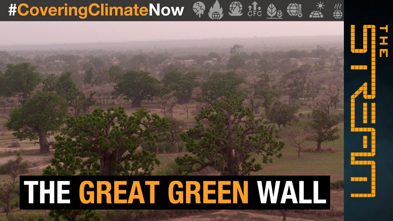 Why is Africa building a 'Great Green Wall' ? | The Stream - YouTube