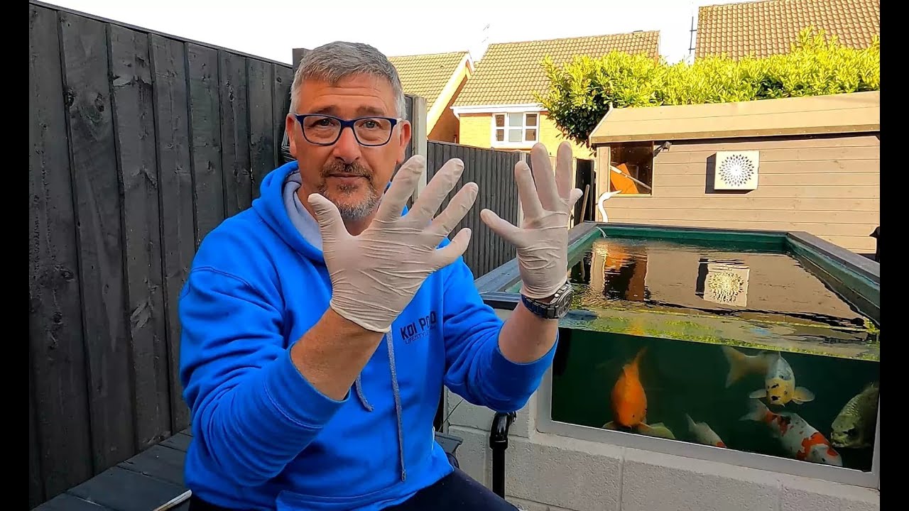 KOI FISH SPITTING OUT FOOD SAGA CONTINUES**NIGHTMARE BLACK SLIME ON THE ...