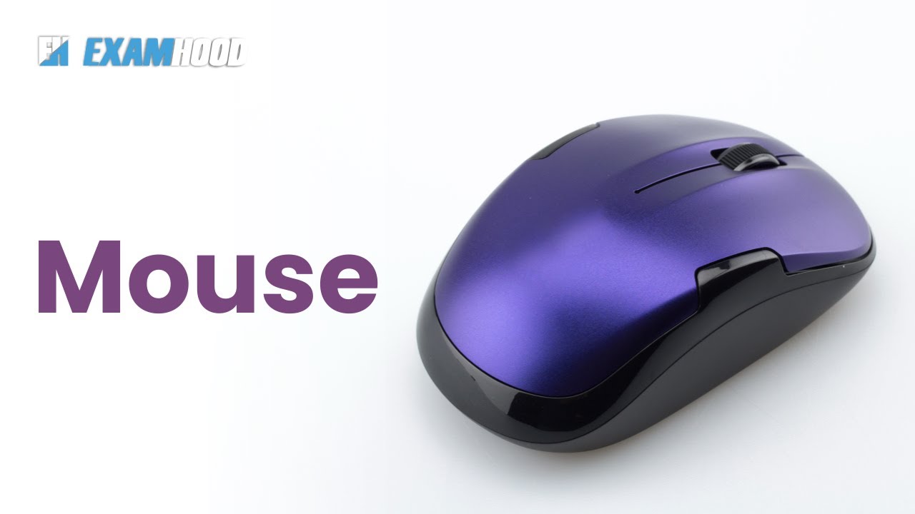 Mouse - YouTube