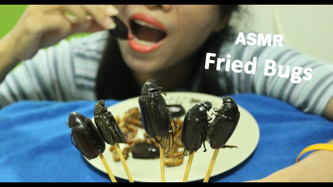 ASMR EATING FRIED EDIBLE CRUNCHY BUGS ( กแด้ แมงกีนูนยักษ์ ) EATING ...