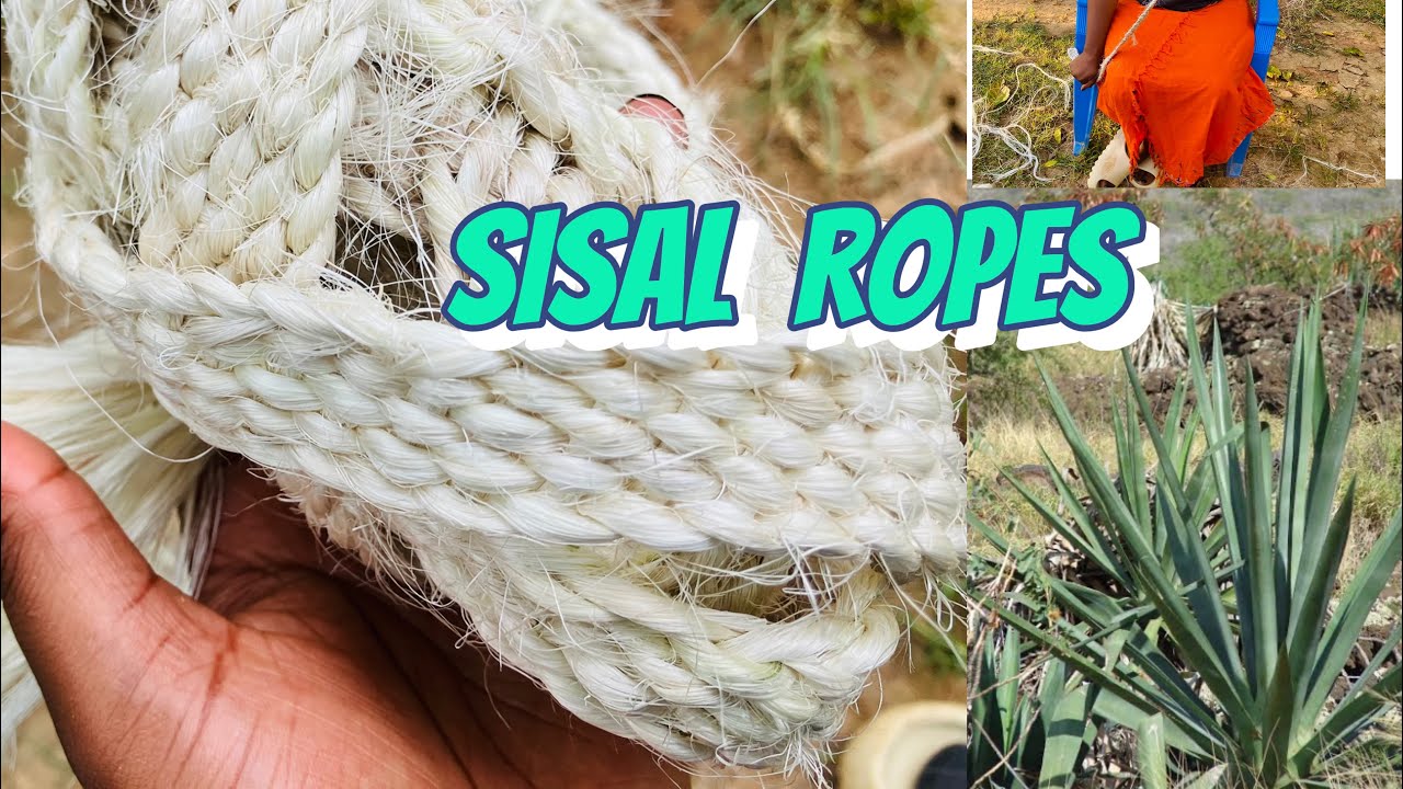 AFRICAN VILLAGE LIFE/WEAVING SISAL ROPES - YouTube