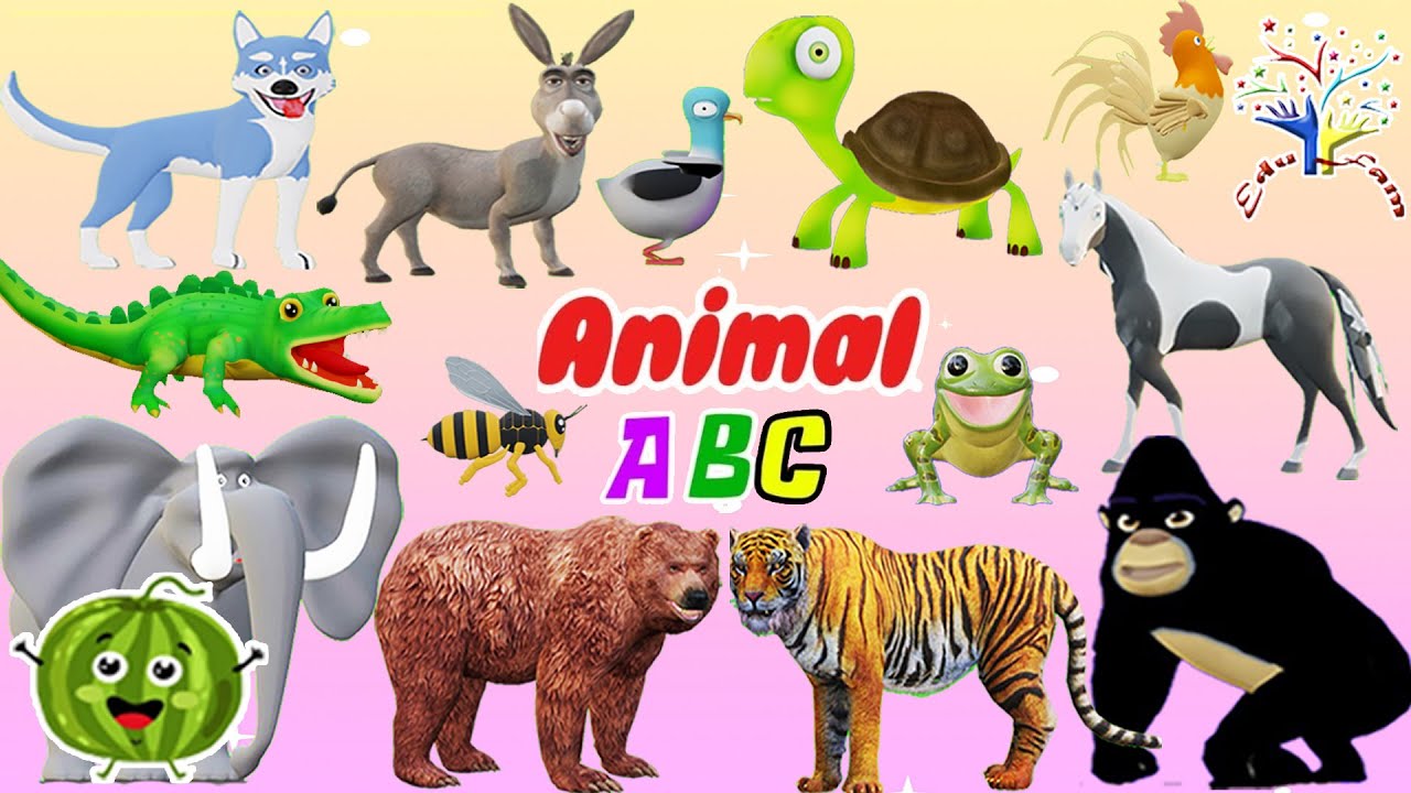 These are the Animal Sounds Now you know the Animal Sounds NYKAC1 ...