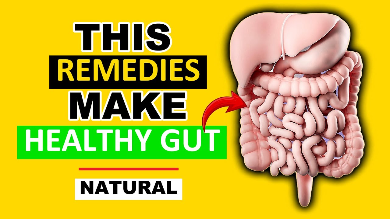 The Science of Gut Health: Unlocking the Key to Better Digestion ...