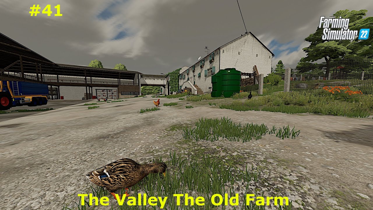 Chickens And Ducks Are Roaming The Yard! // Farming Simulator 22 // The ...