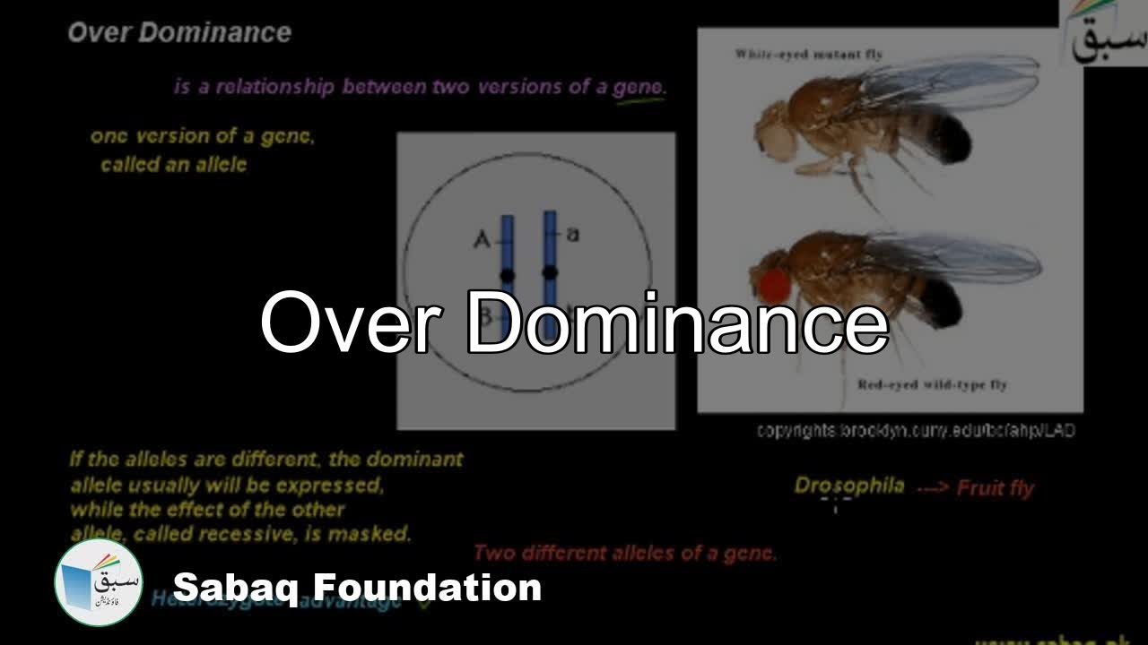 Over Dominance, Biology Lecture | Sabaq.pk - YouTube