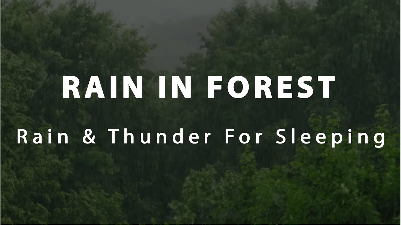 Epic Thunder & Rain In Forest | 8 Hours Rainstorm And Animal Sounds For ...