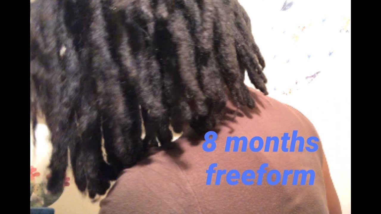 8 Month LOC Journey update| THICK FREEFORM LOCS - YouTube
