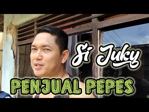 SI JUKY Dagang Pepes - Pepes Ikan Yang Lezaat - Dibalik Layar