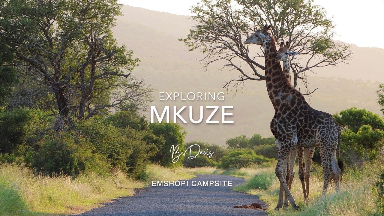 MKUZE MAGIC - birding, game viewing and some important information ...