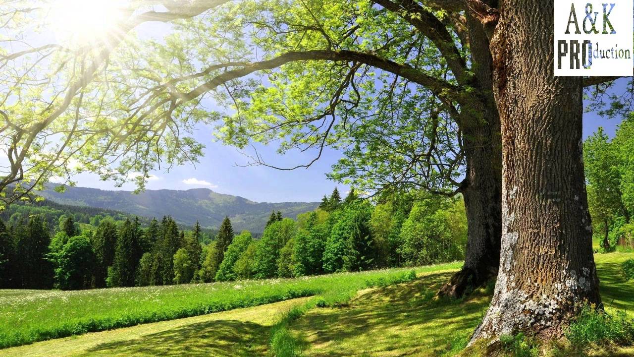 Fratii de la Toflea- Pe numele Lui - YouTube