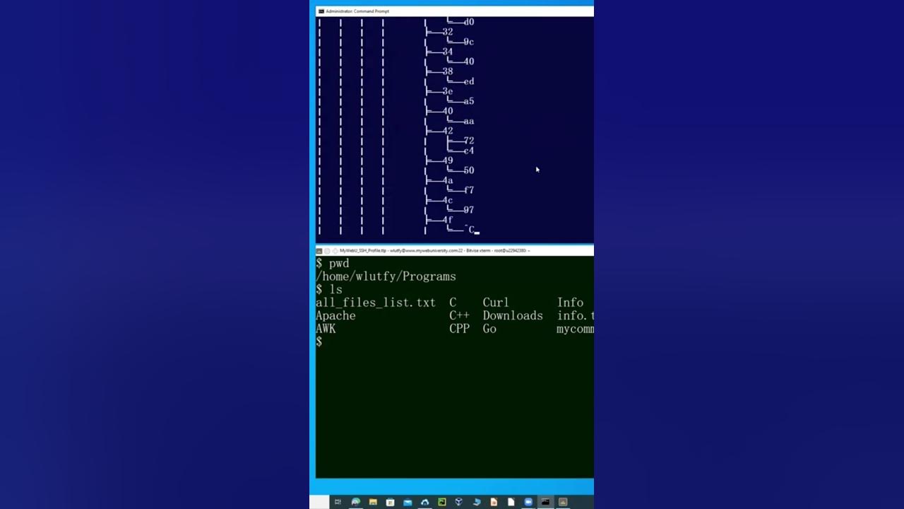 Windows And Linux tree Command Comparison YouTube windows-and-linux-tree-command-comparison-youtube