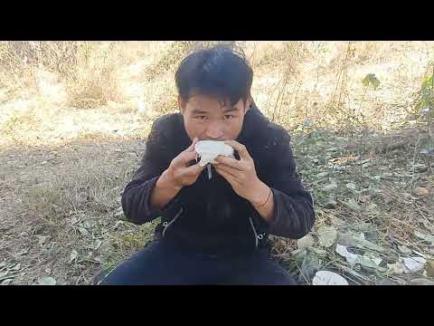 hnub no peb mus teb nawb 11=2=2023 - YouTube